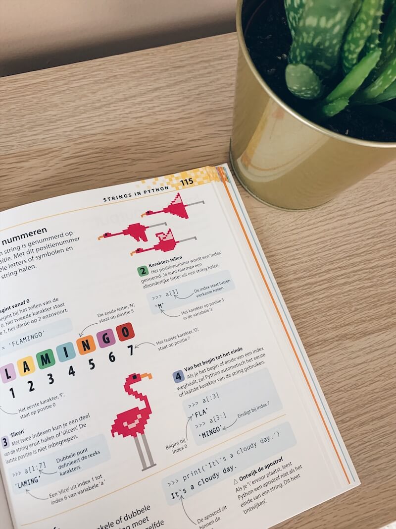 Programmeren met kinderen: tips - unicorns & fairytales