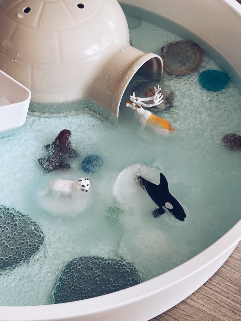 Thema Noordpool en zuidpool met kinderen - unicorns & fairytales